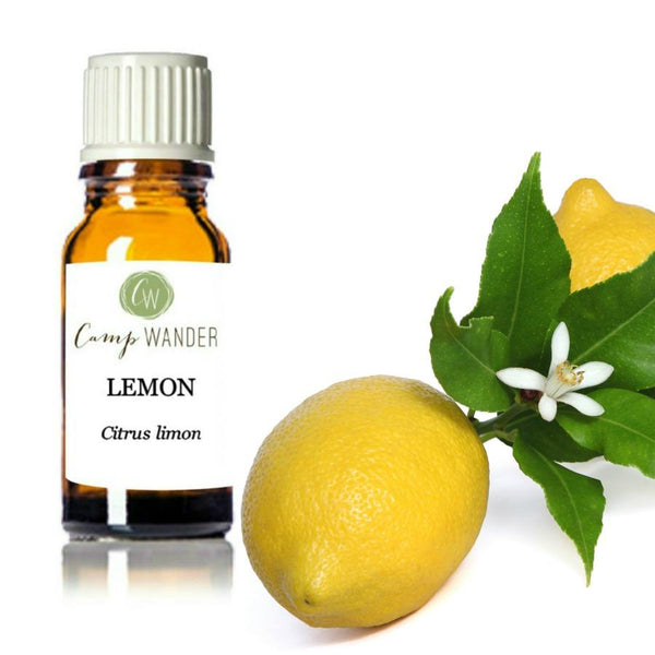 15 Reasons to Love Lemon - Camp Wander