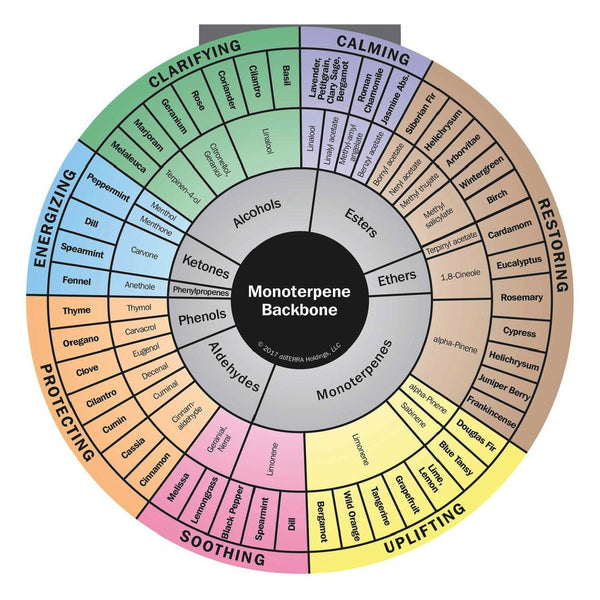 Essential Oil Wheel For Your Reference Library - Camp Wander