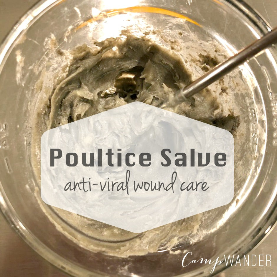 How to Make an Antiviral Poultice Salve - Camp Wander