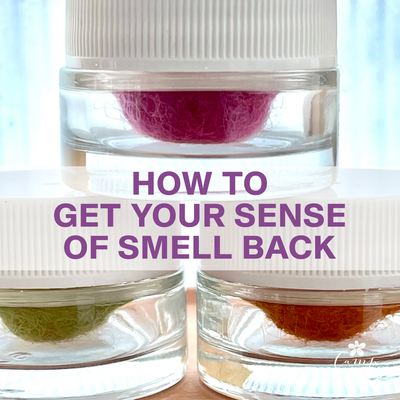 Get Your Sense Of Smell Back - Camp Wander