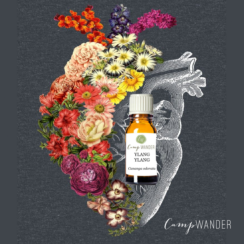 How Ylang Ylang Supports Your Heart - Camp Wander